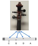 Basic Music Theory – Viola – Flipped Music Learning