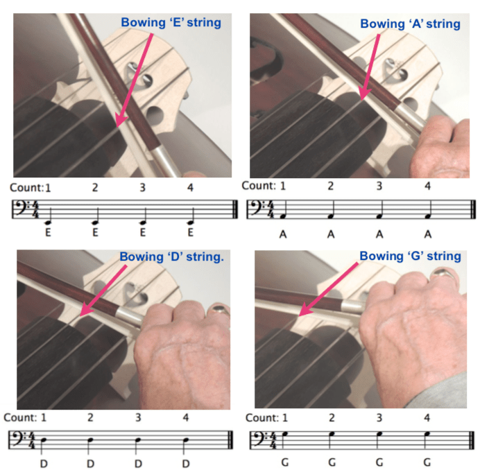 Basic Music Theory – Double Bass – Flipped Music Learning