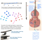 Basic Music Theory – Double Bass – Flipped Music Learning