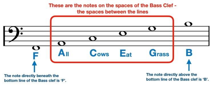 Basic Music Theory – Double Bass – Flipped Music Learning
