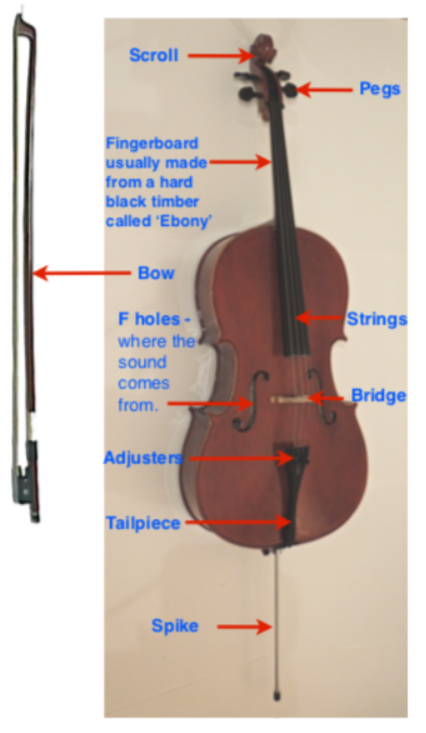 Basic Music Theory – Cello – Flipped Music Learning